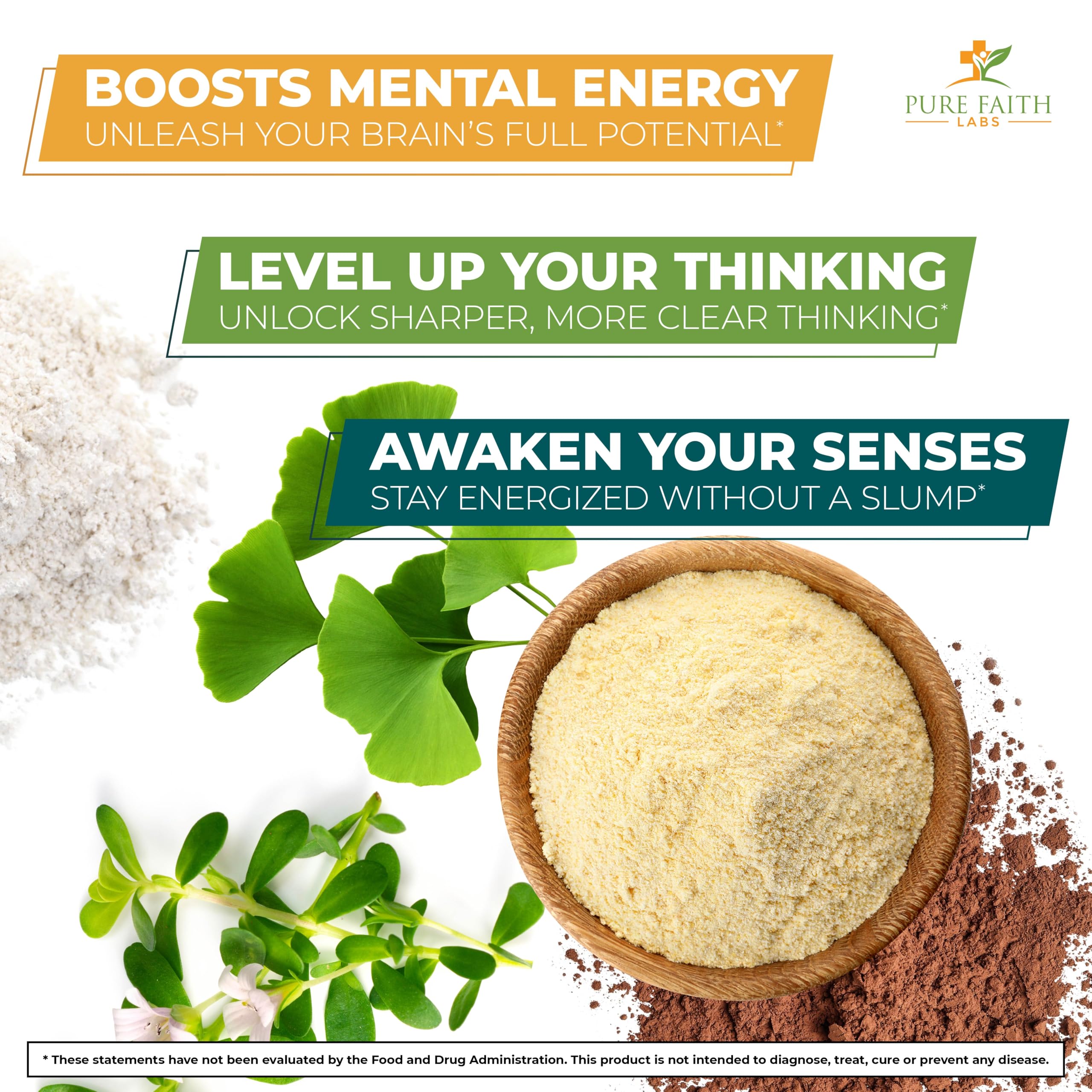 ginkgo biloba tablets for mental clarity