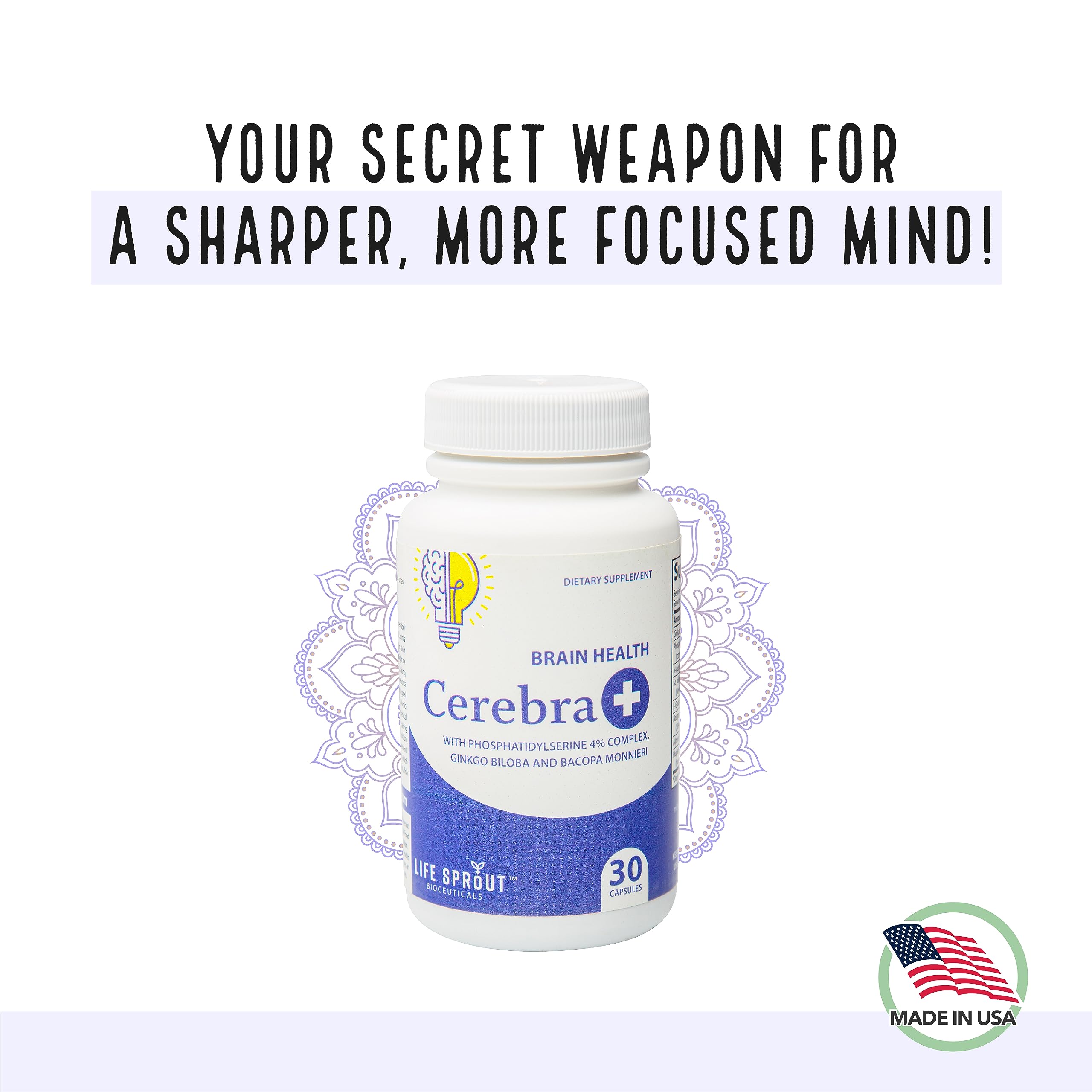 ginkgo biloba tablets for mental clarity