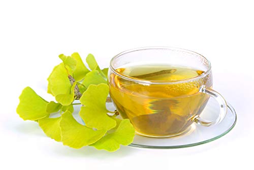 ginkgo biloba tea for cognitive support
