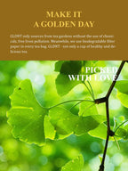 Ginkgo Biloba tea for wellness