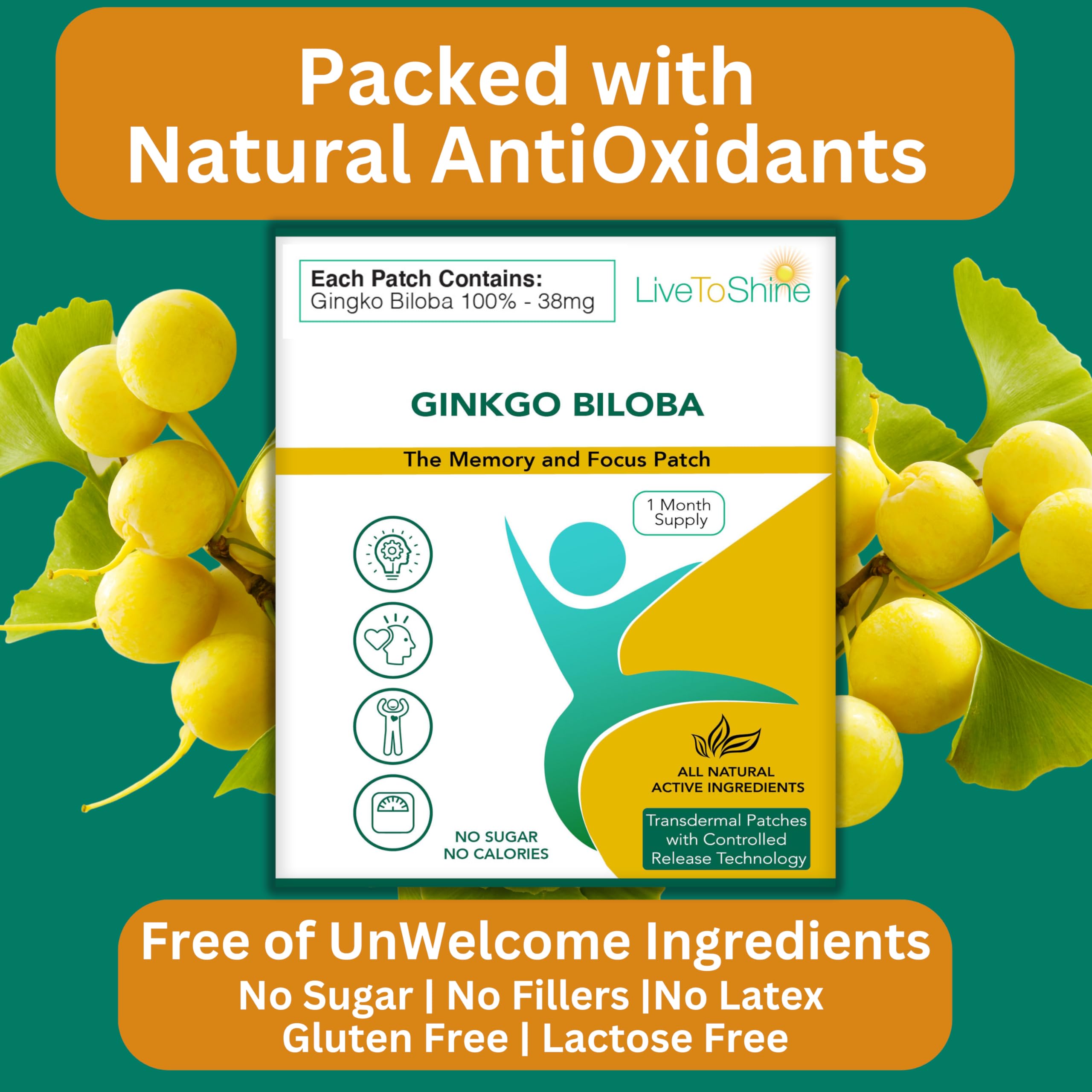 Ginkgo Biloba wellness benefits