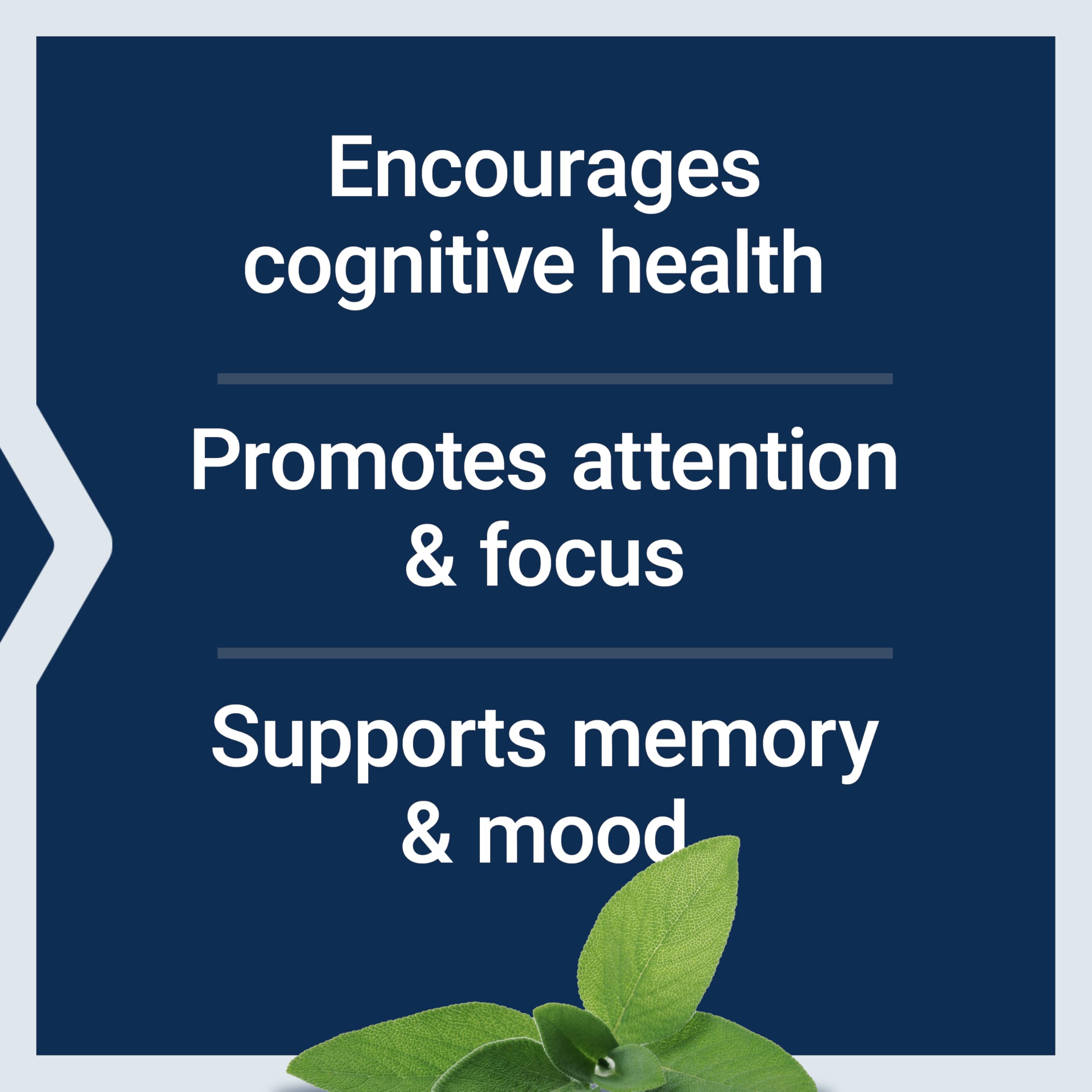ginkgo biloba with ashwagandha benefits