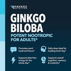 ginkgo biloba with phosphatidylserine benefits