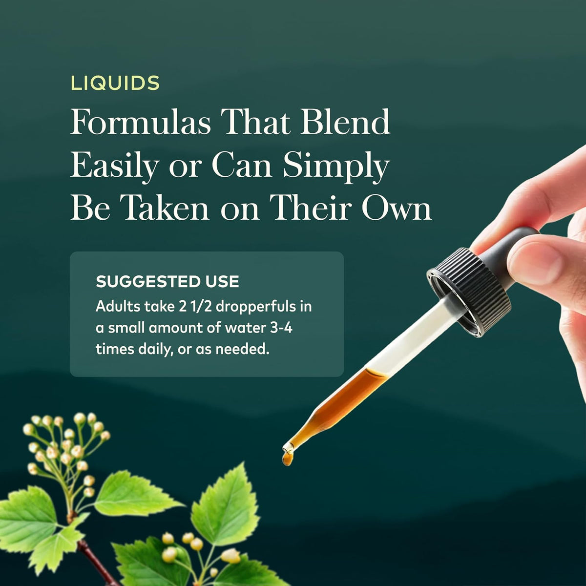 Ginkgo for mental clarity