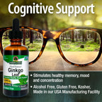 ginkgo leaf 2 oz bottle