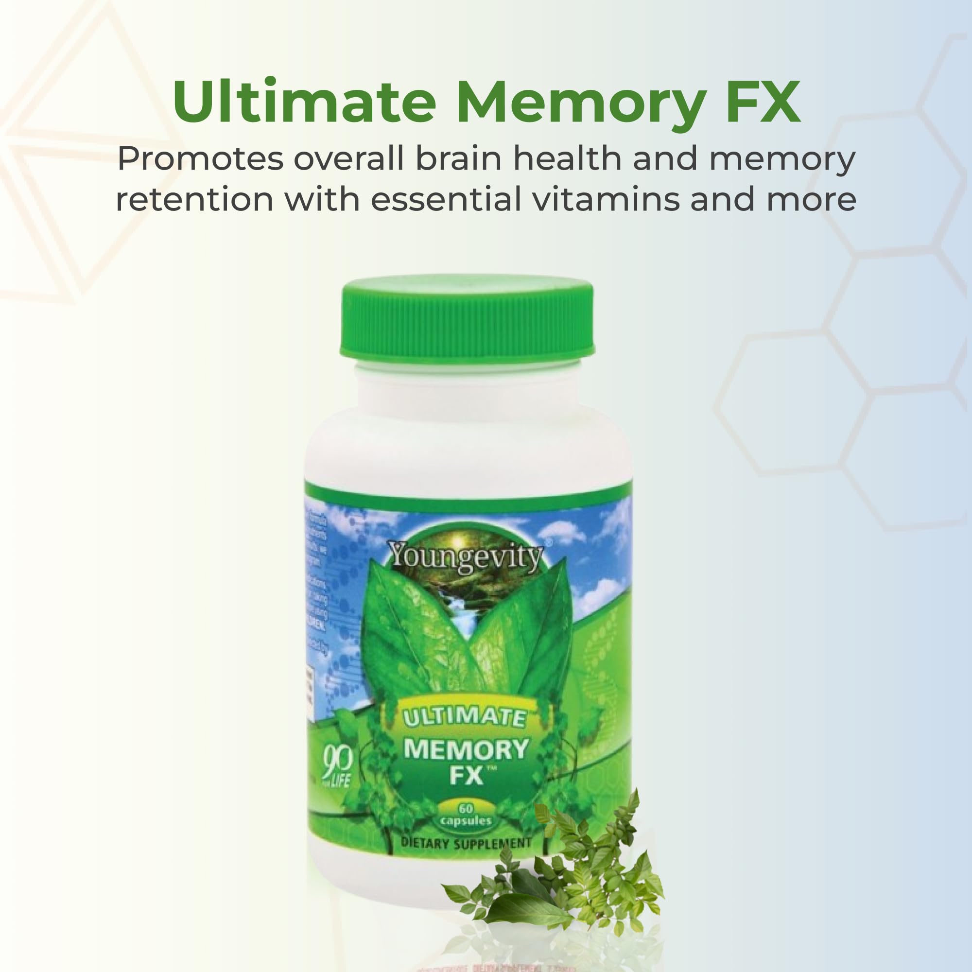 Ginkgo leaf benefits for cognitive health