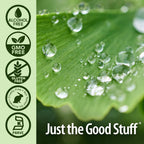 Ginkgo leaf extract for mental clarity