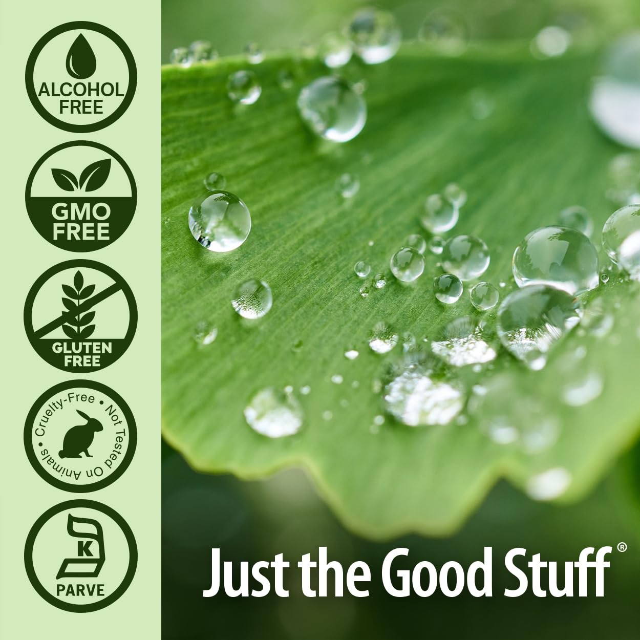 Ginkgo leaf extract for mental clarity