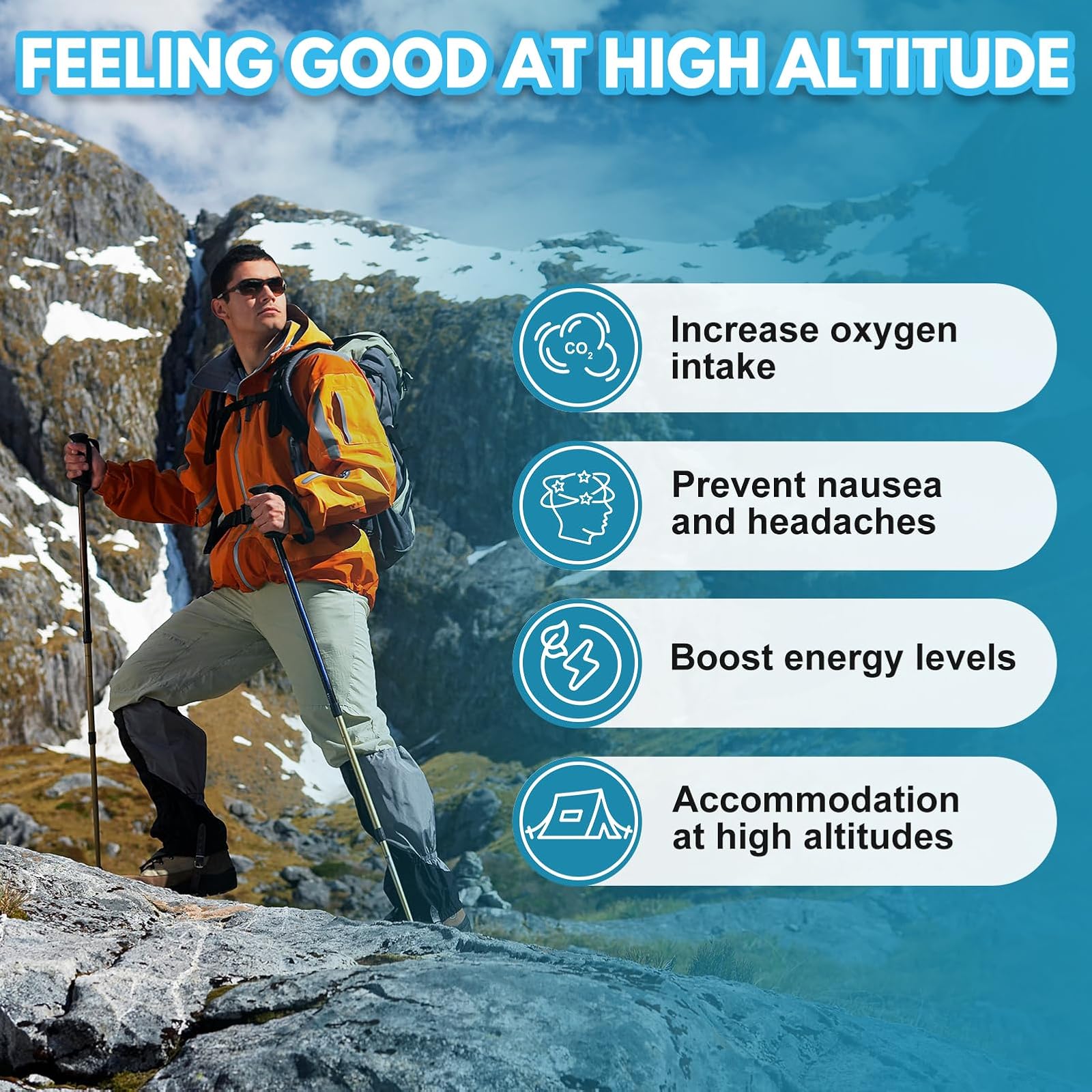 Ginkgo leaf extract for mental clarity