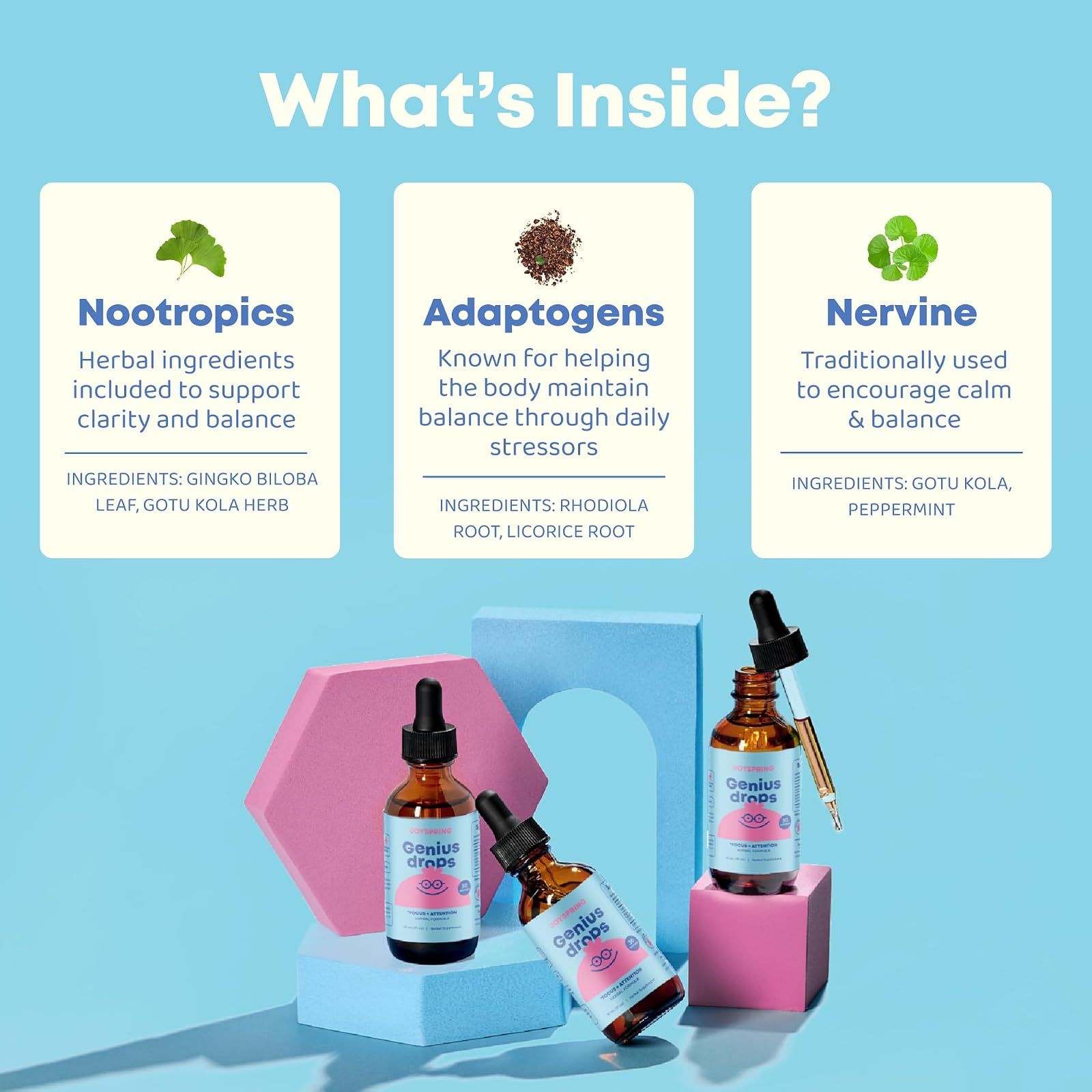 Ginkgo liquid for enhanced learning abilities