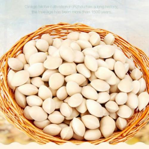 ginkgo nut vitamins for energy