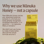 Ginseng and Lion's Mane synergy