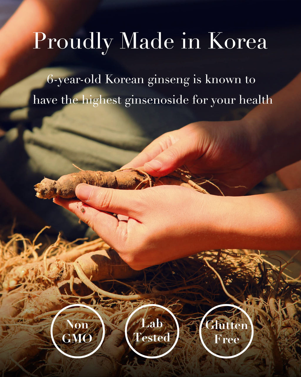 Ginseng capsules for daily health