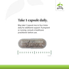Ginseng capsules for daily vitality