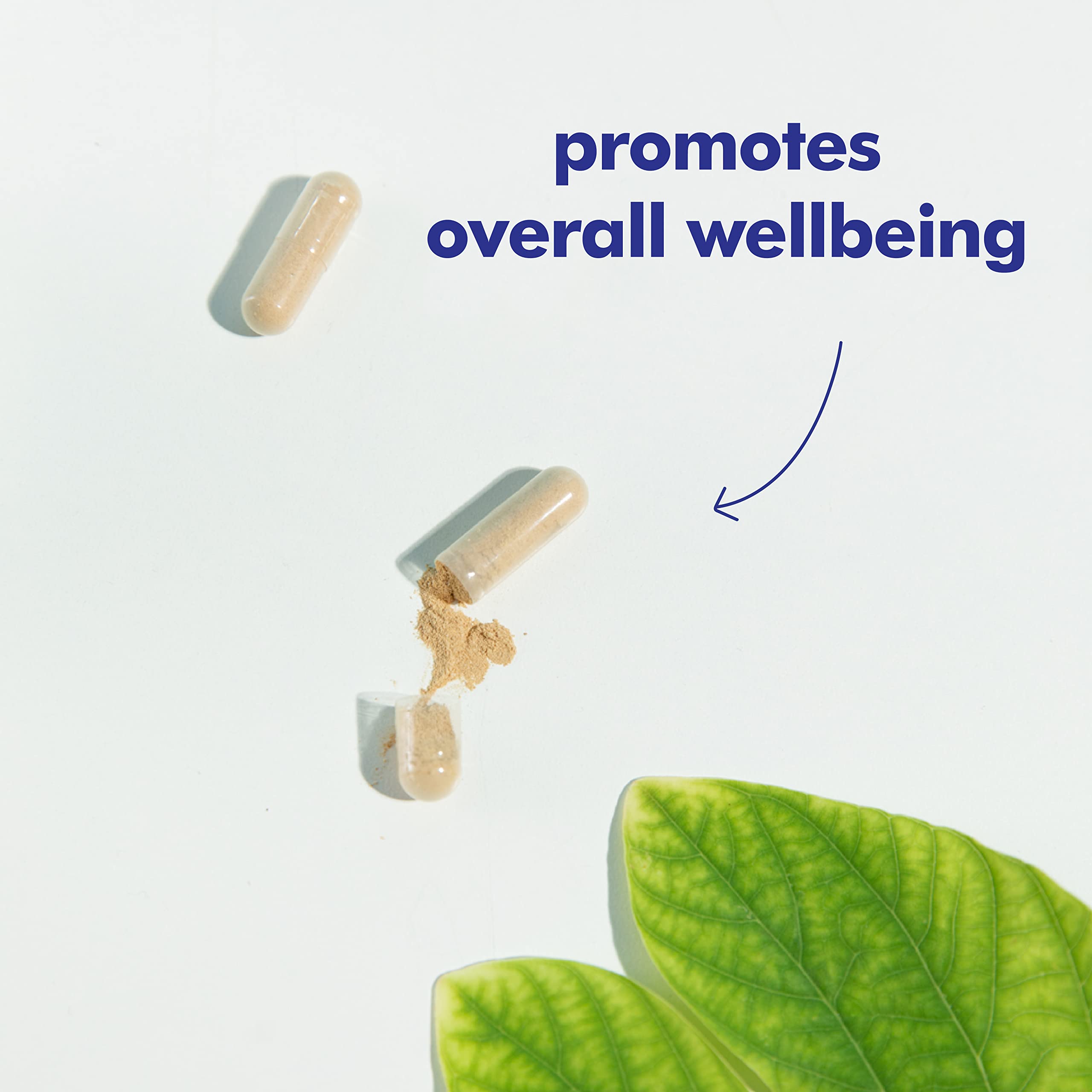 Ginseng capsules for stress relief