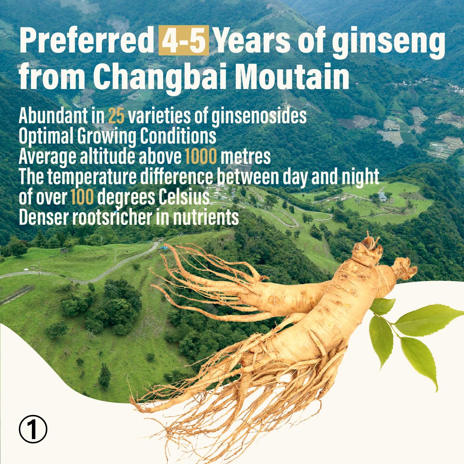 ginseng drink for active lifestyle