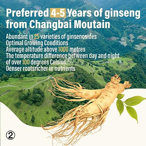 ginseng drink for active lifestyle