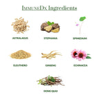 ginseng energy and immune health