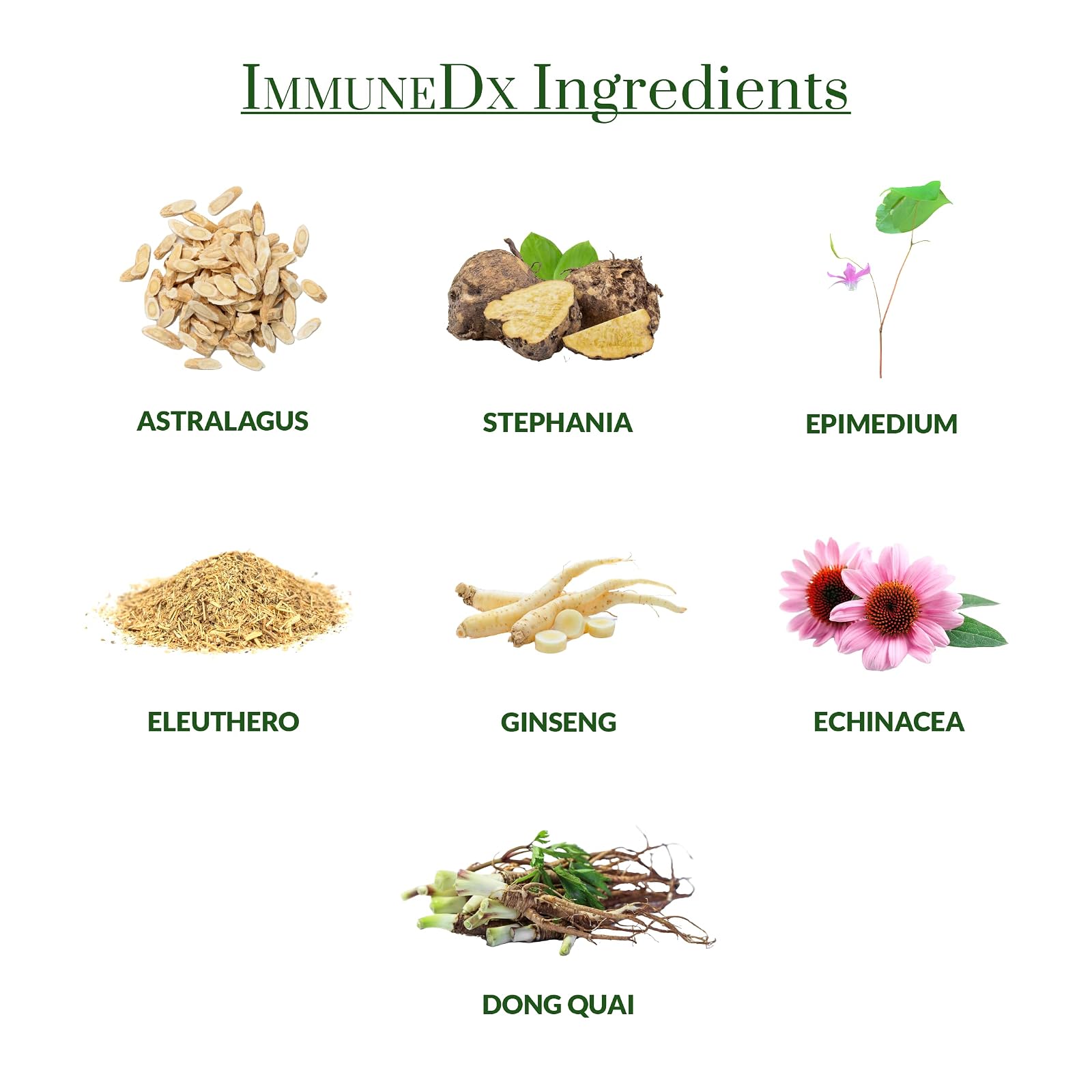 ginseng energy and immune health