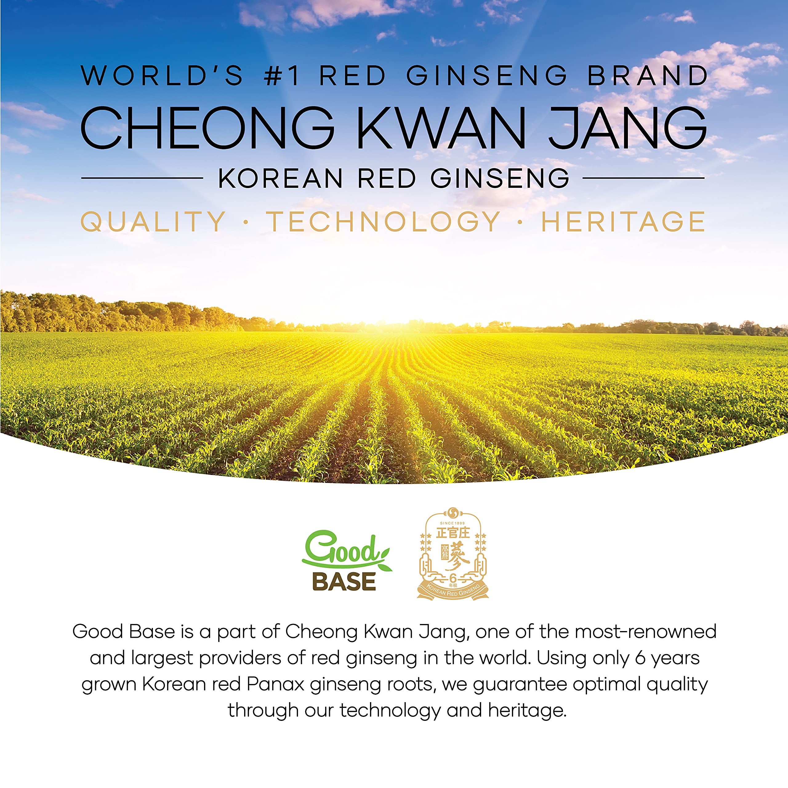 ginseng extract for busy lifestyles