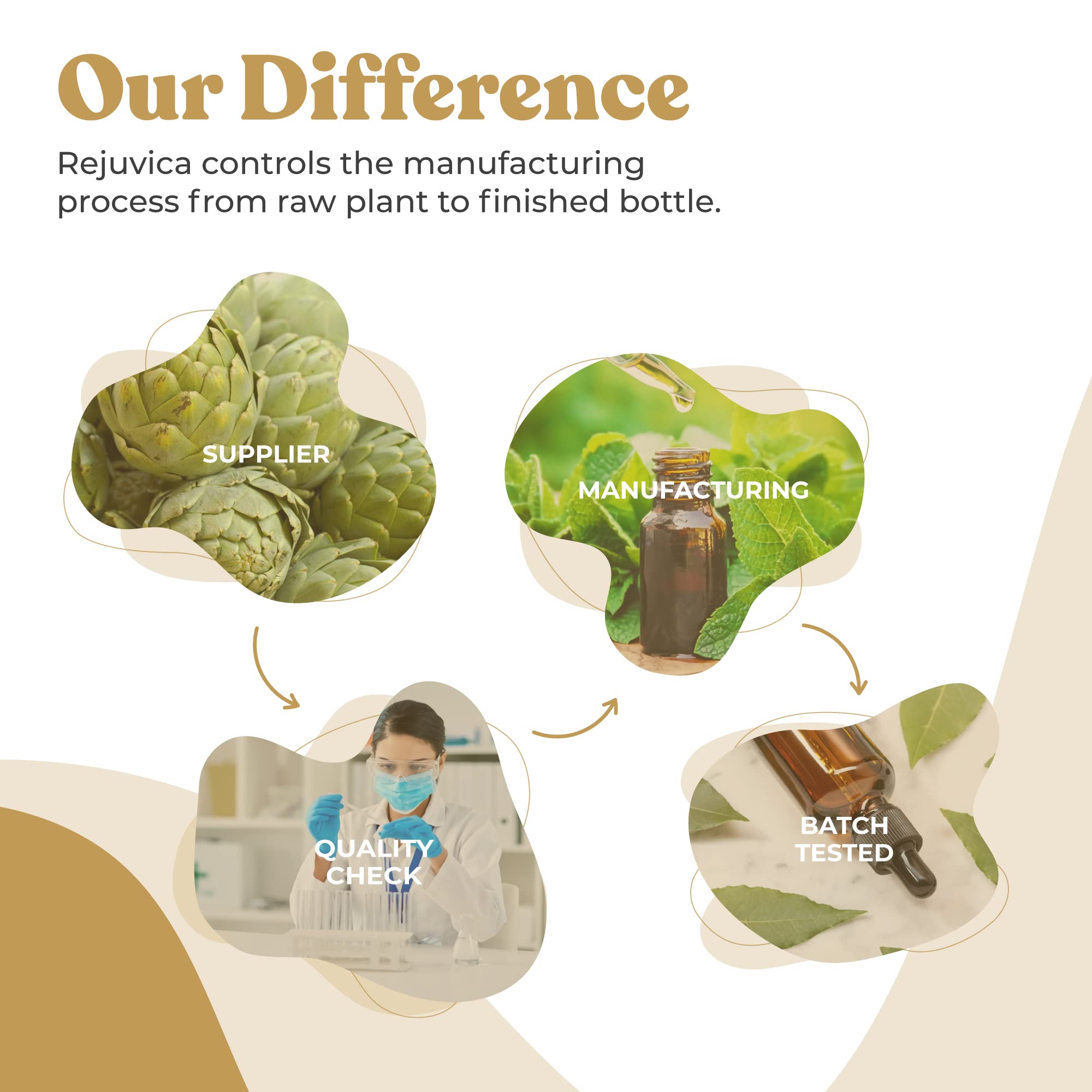 ginseng extract for daily wellness