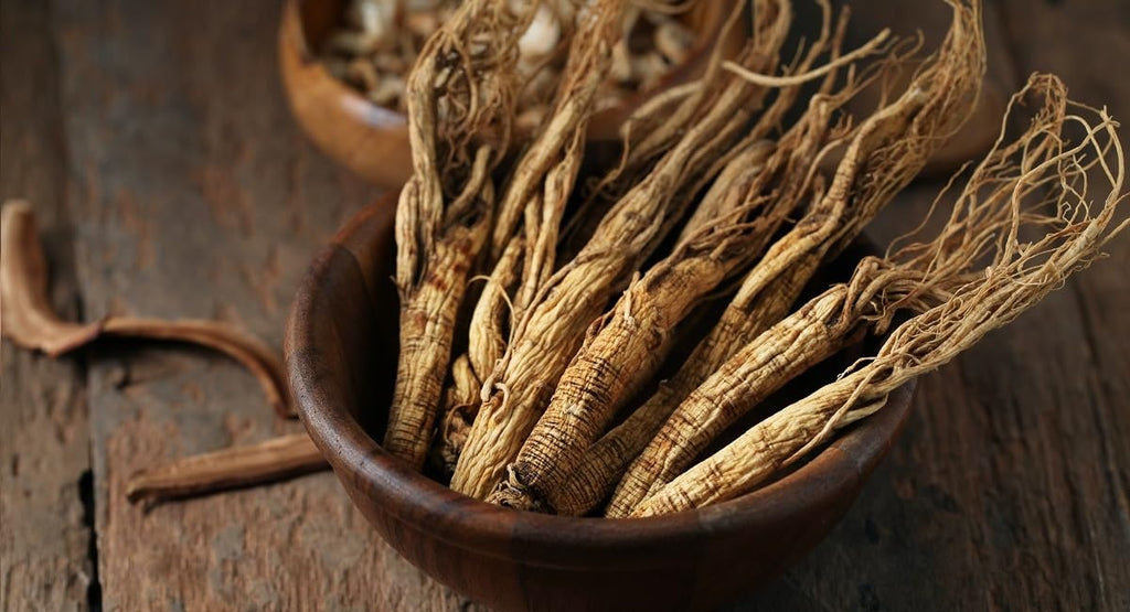 ginseng extract for enhanced wellness