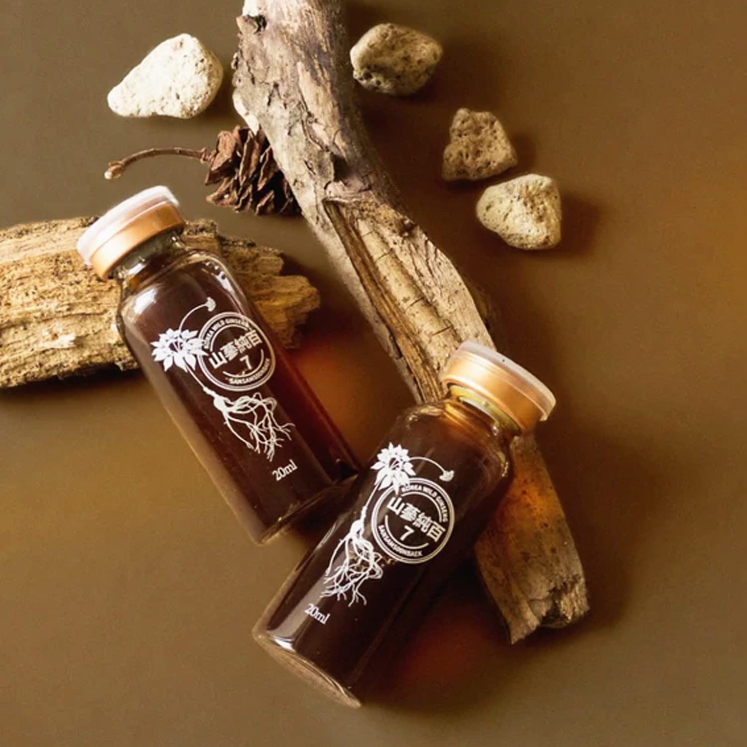 ginseng extract for health support
