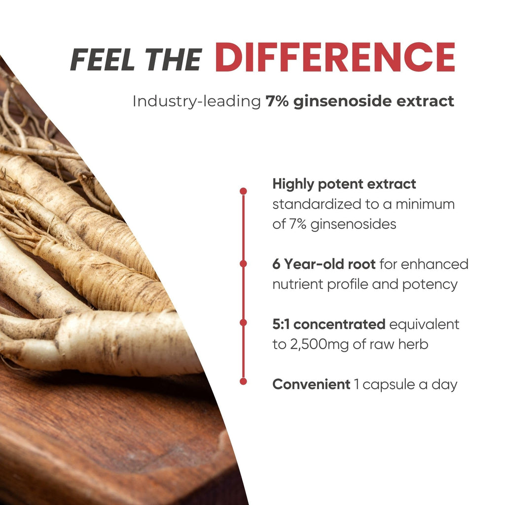ginseng extract for immune support