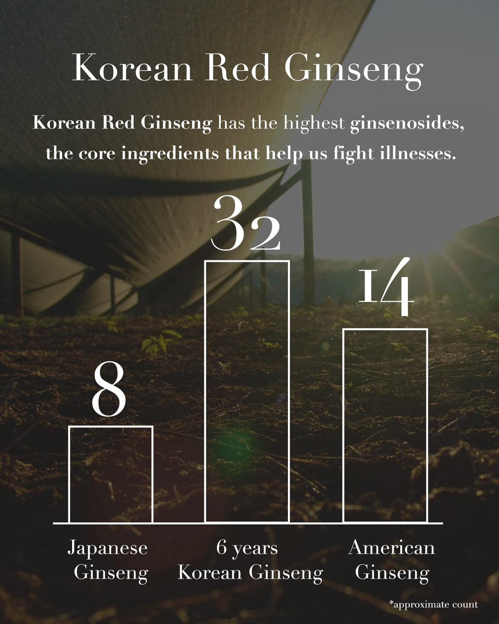 ginseng extract for overall wellness