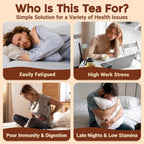 Ginseng Five Treasures tea bags