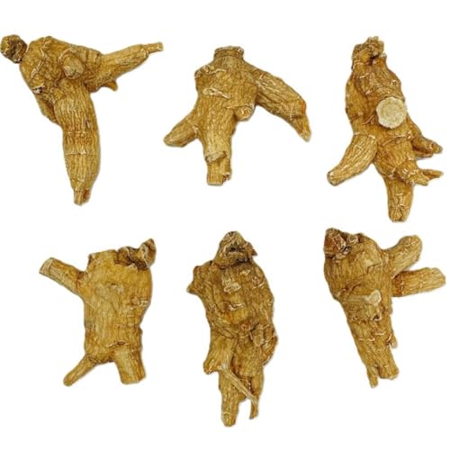 ginseng for enhanced immune support