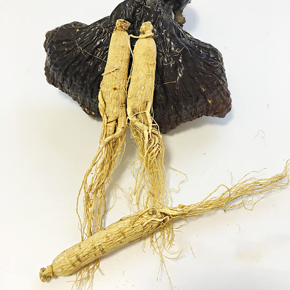 ginseng for immune system support