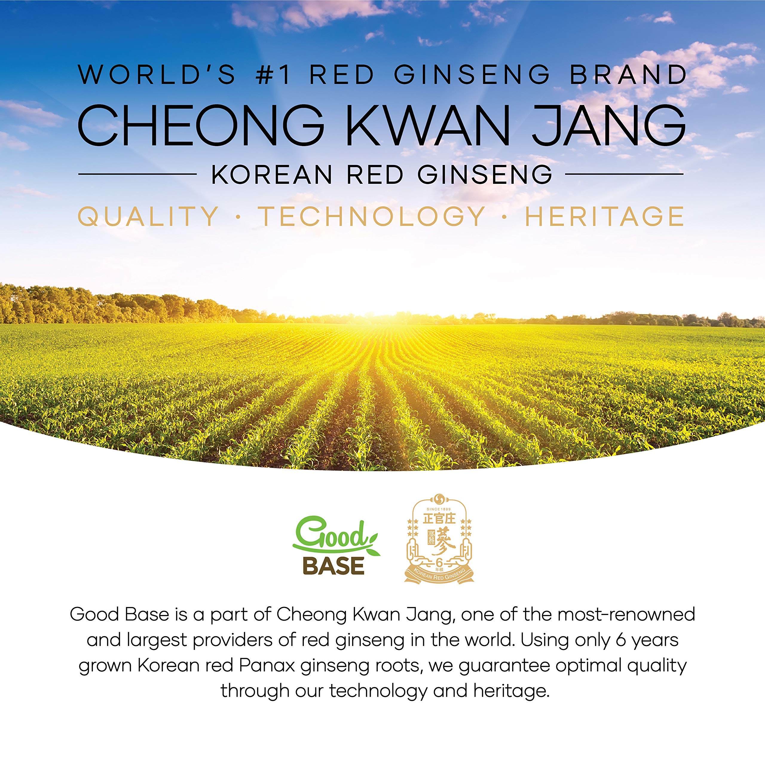 Ginseng for improved blood flow