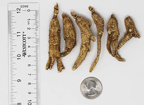 ginseng for vitality and energy