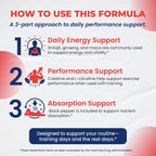 ginseng-infused shilajit benefits