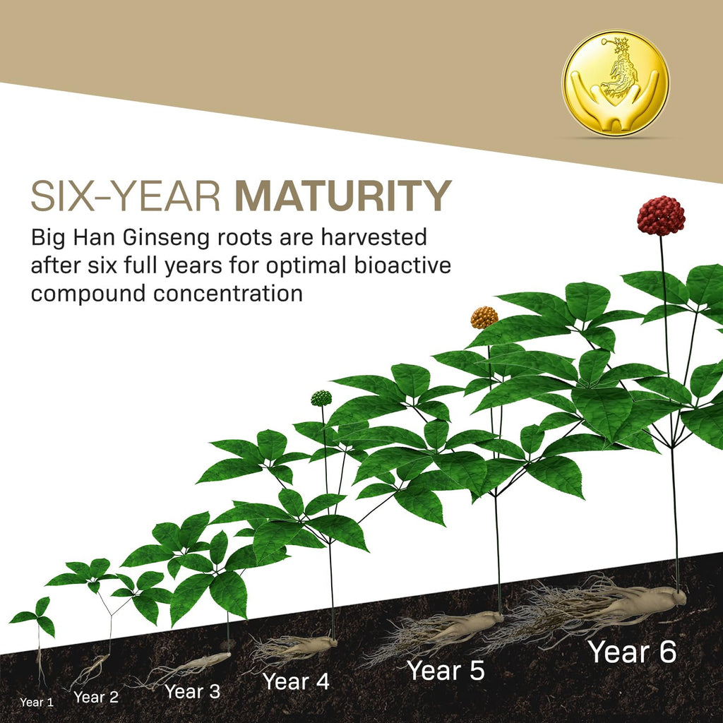 ginseng powder rich in ginsenosides