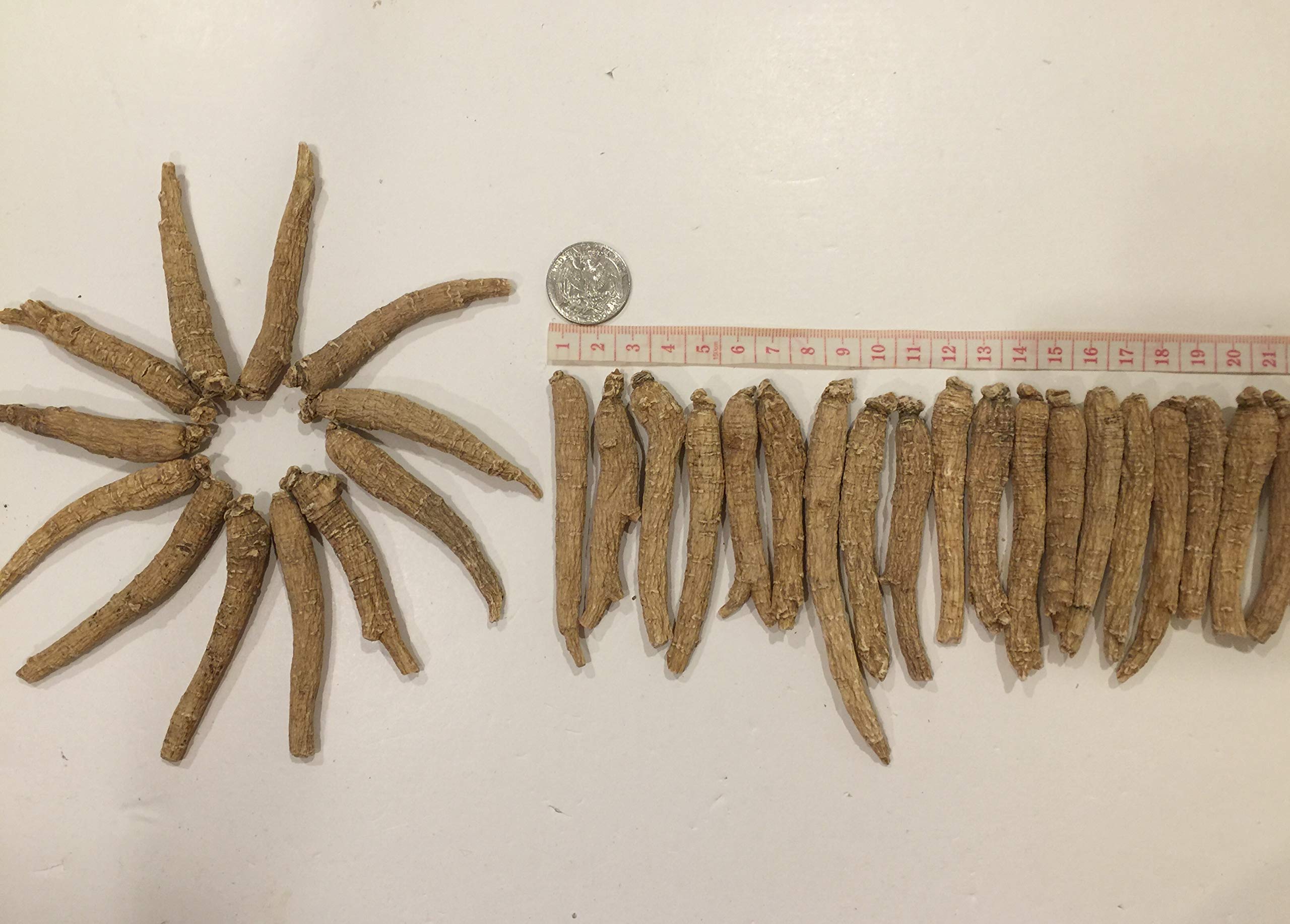 ginseng root extract for herbal remedies