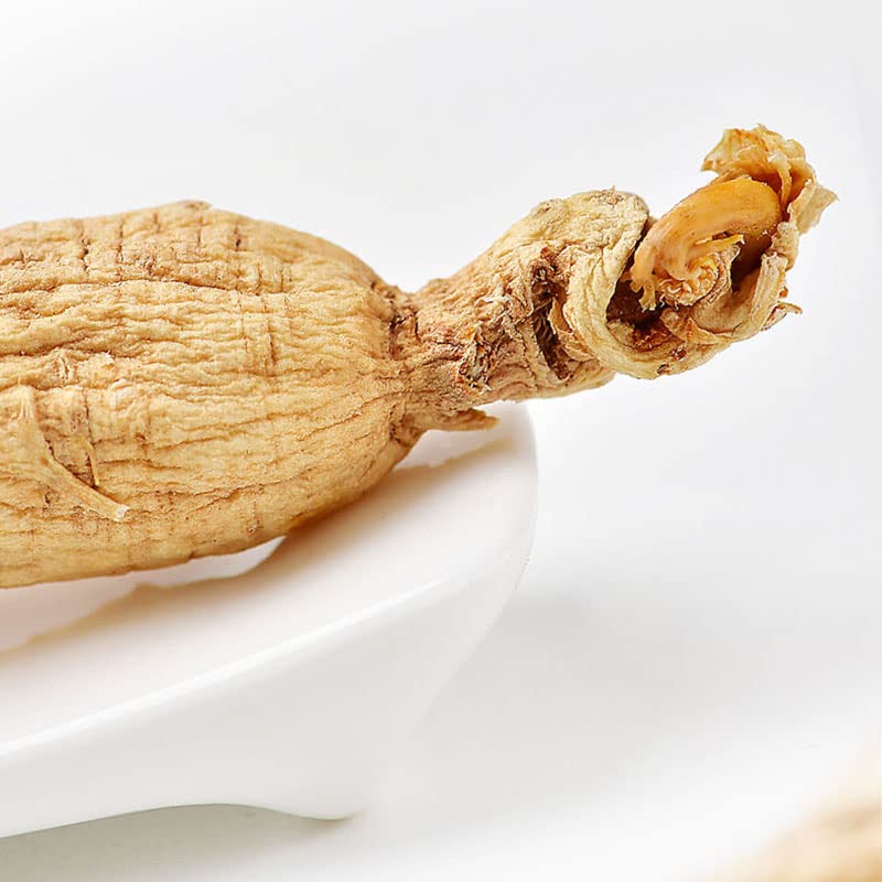 ginseng root extract for immunity