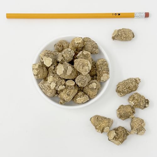 ginseng root extract for immunity