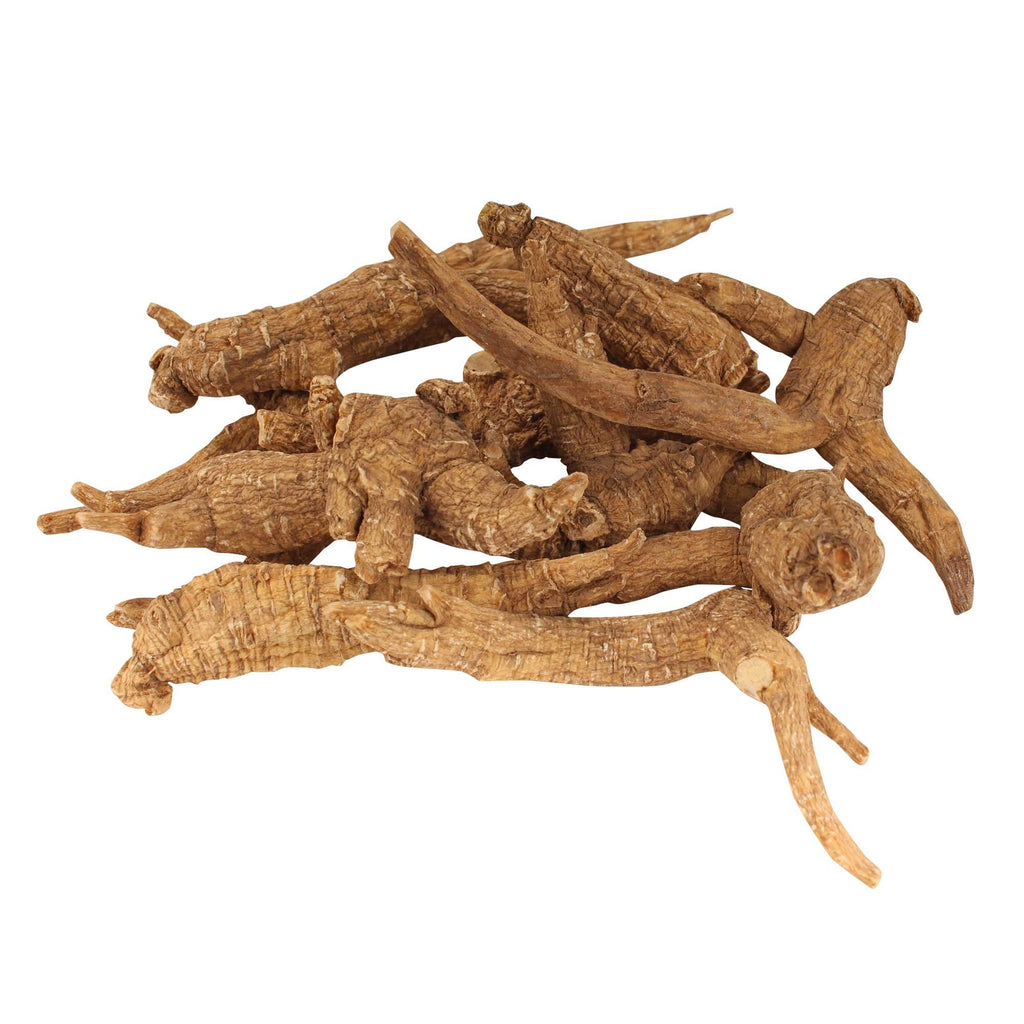 ginseng root for herbal teas