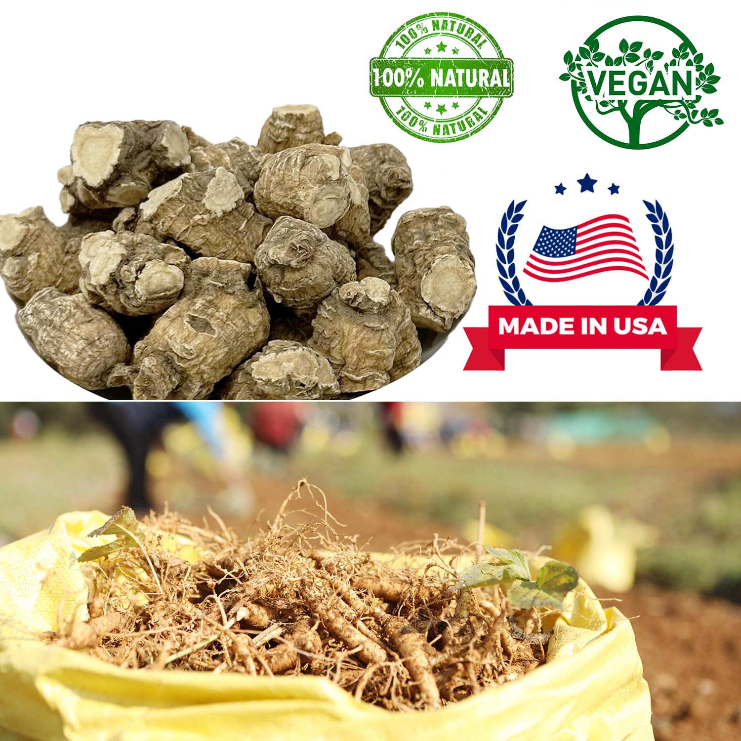 ginseng roots for health