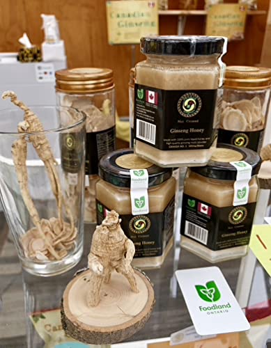 ginseng roots for wellness