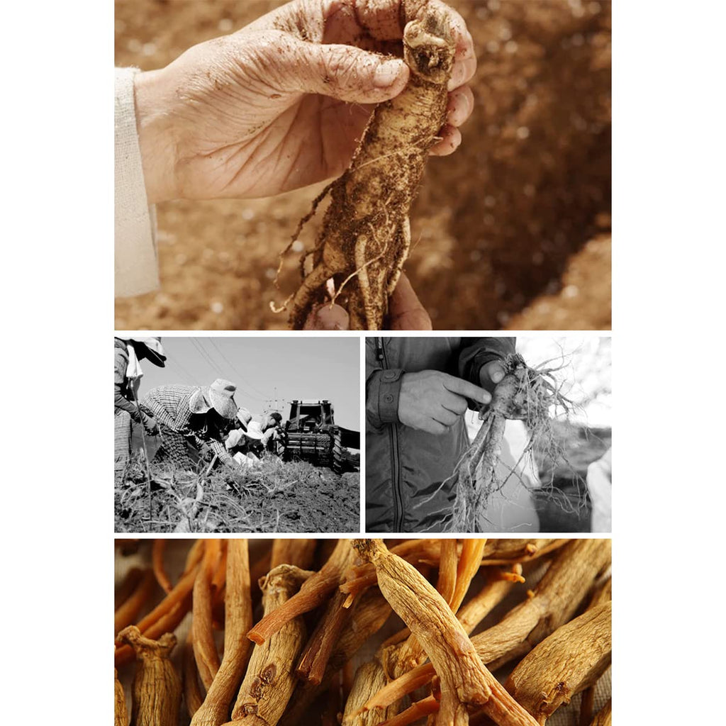 ginseng slices for convenient use