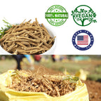 Ginseng slices for herbal remedies