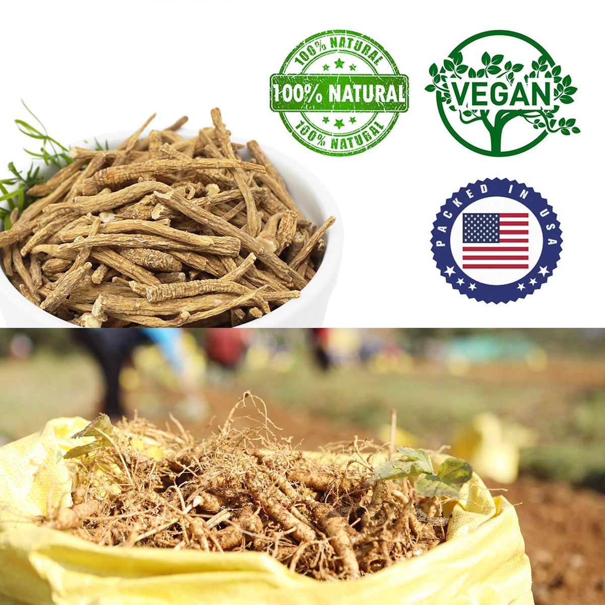 Ginseng slices for herbal remedies