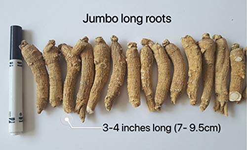 ginseng slices for herbal tea
