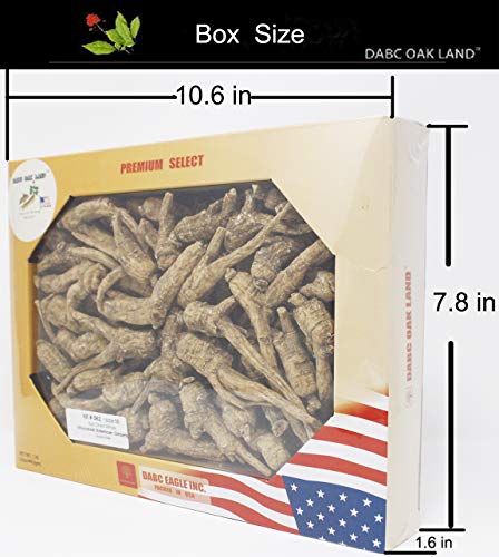 ginseng slices for immunity support