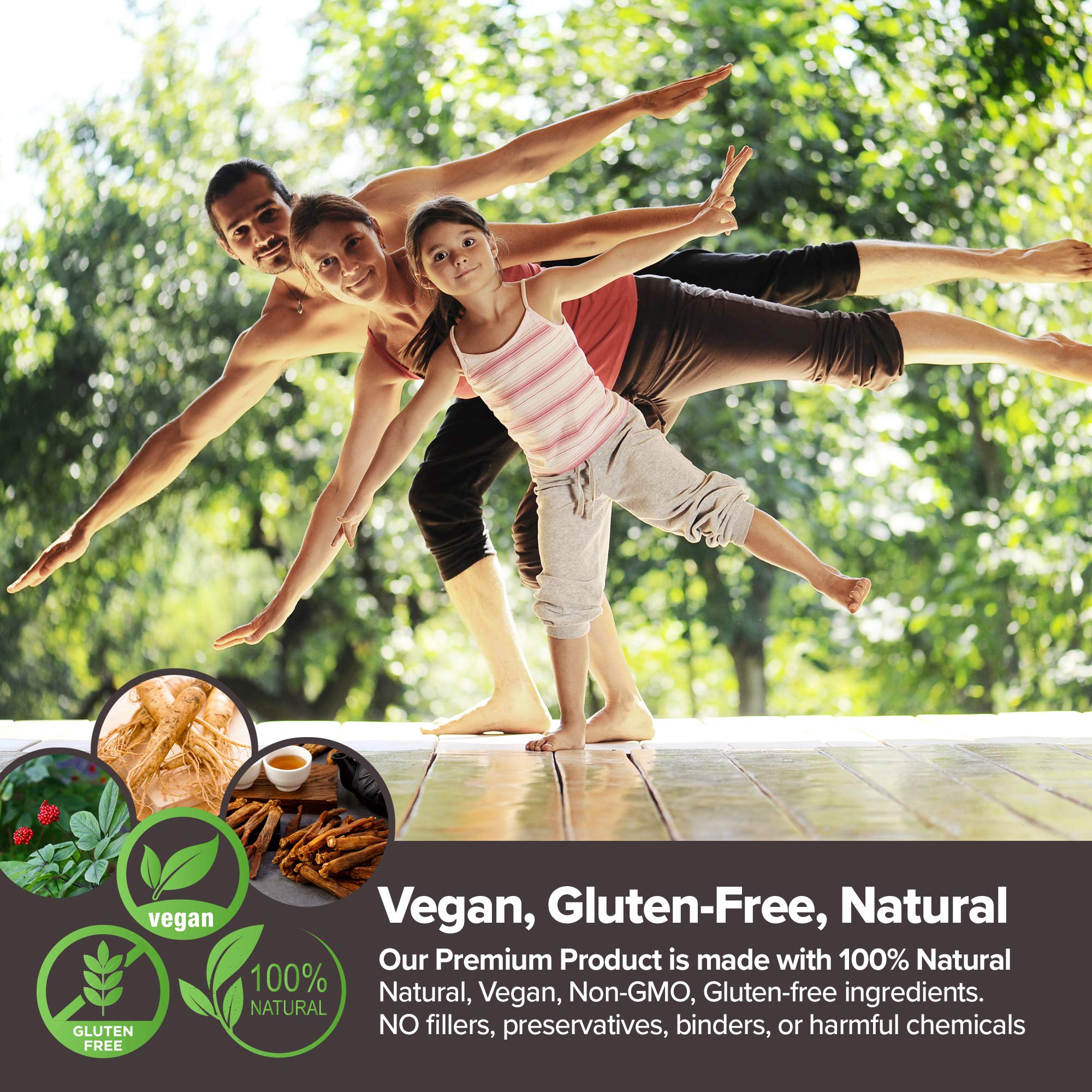 ginseng stick for busy lifestyles