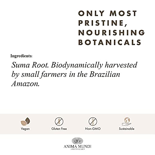 ginseng superfood for energy and stamina