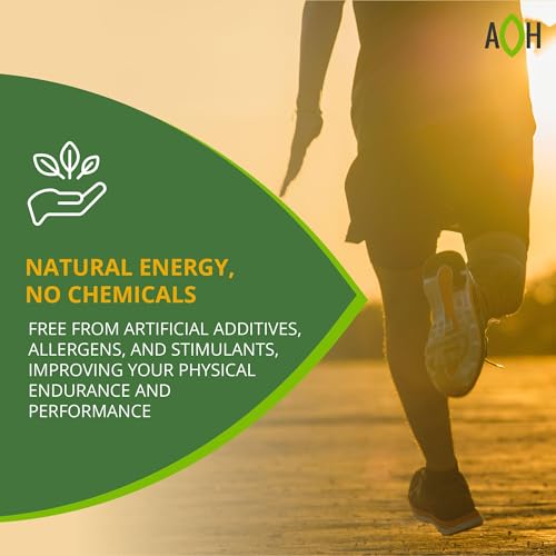 ginseng supplement for busy lifestyles